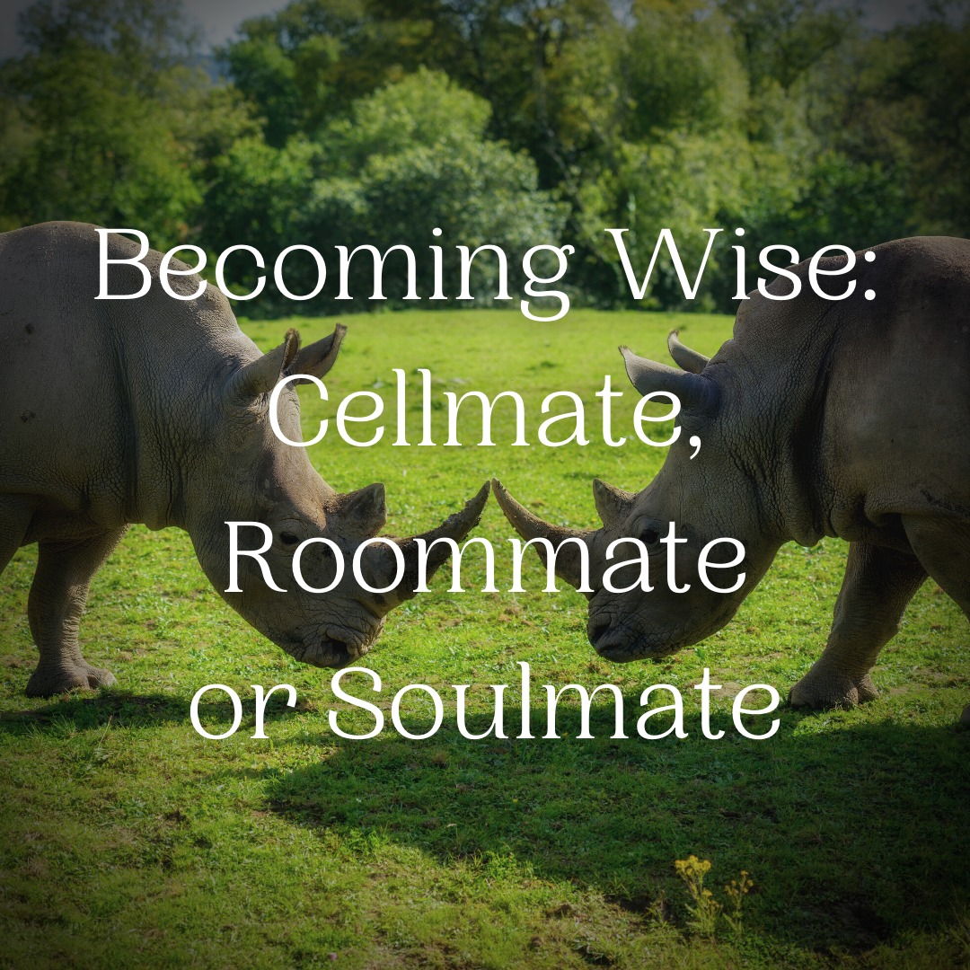 Becoming Wise: Cellmate, Roommate or Soulmate - Living Hope Church ...